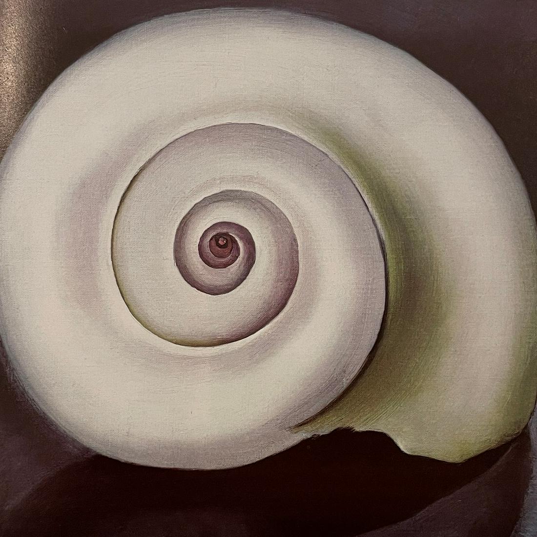 Georgia Okeeffe Shell I, 1928