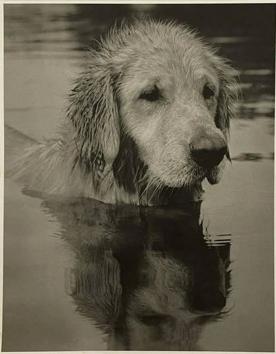 Buy Bruce Weber - Bear Pond - Gravure | Emanon Auctions and Estate ...