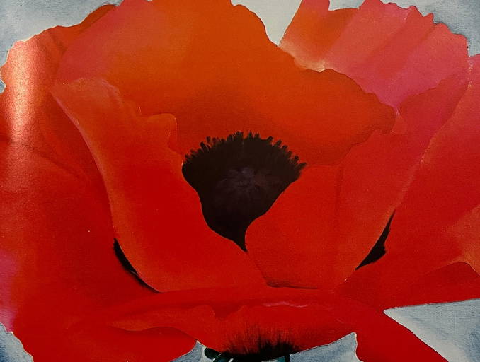 Georgia Okeeffe Red Poppy, 1927