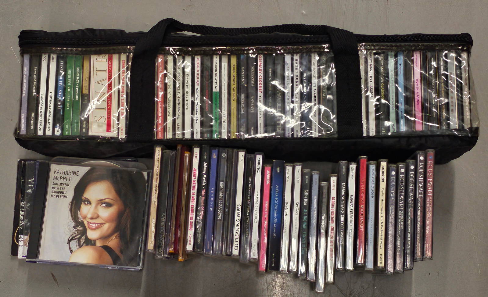Cds And Carrying Case Auction
