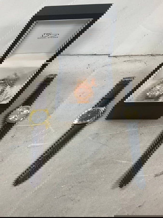 Milagro Watch, Daniel Steiger Watch, Eiger Watch Auction