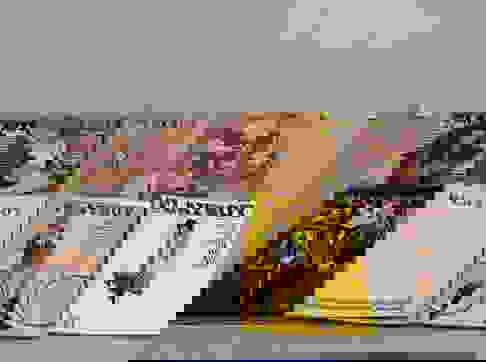 Vintage Playboys(1960's-90's) Auction