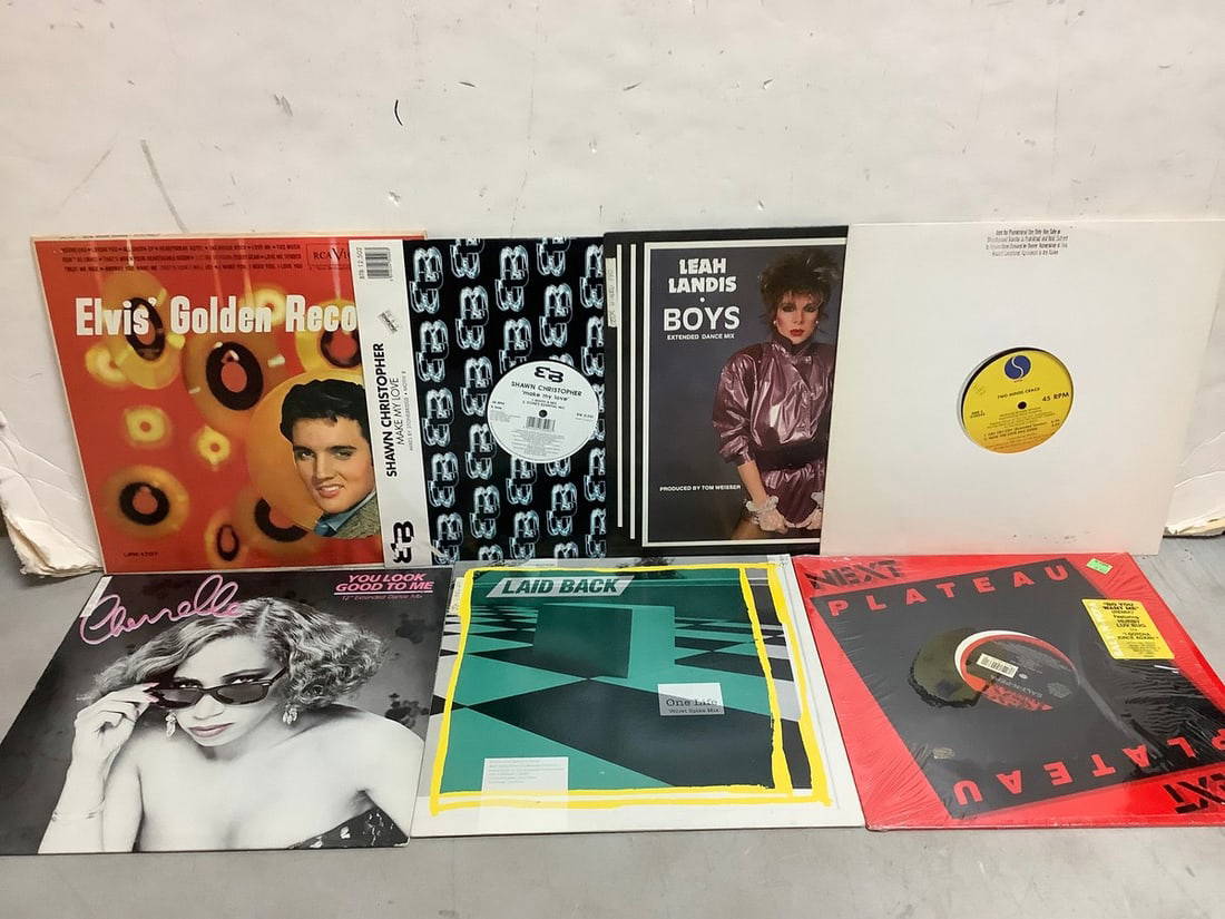 Various Records(leah Landis, Elvis, Shawn Christopher, And More Auction