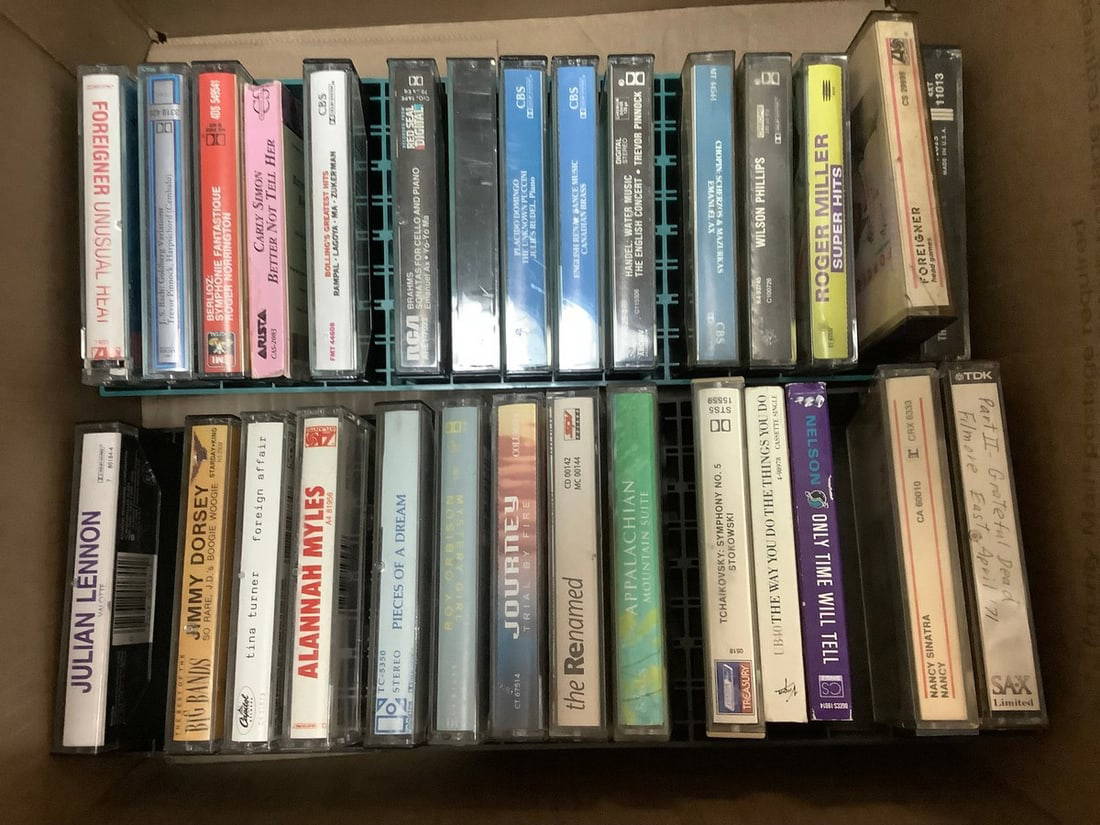 Vintage Cassette Tapes (alannah Myles, Julian Lennon, Roger Miller, And ...