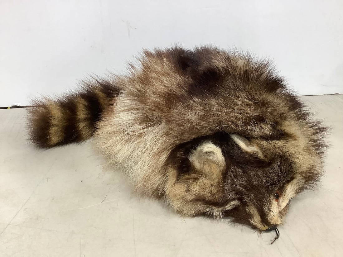 Real Raccoon Hat - Jul 28, 2025 | Emanon Auctions And Estate Sales In Nj
