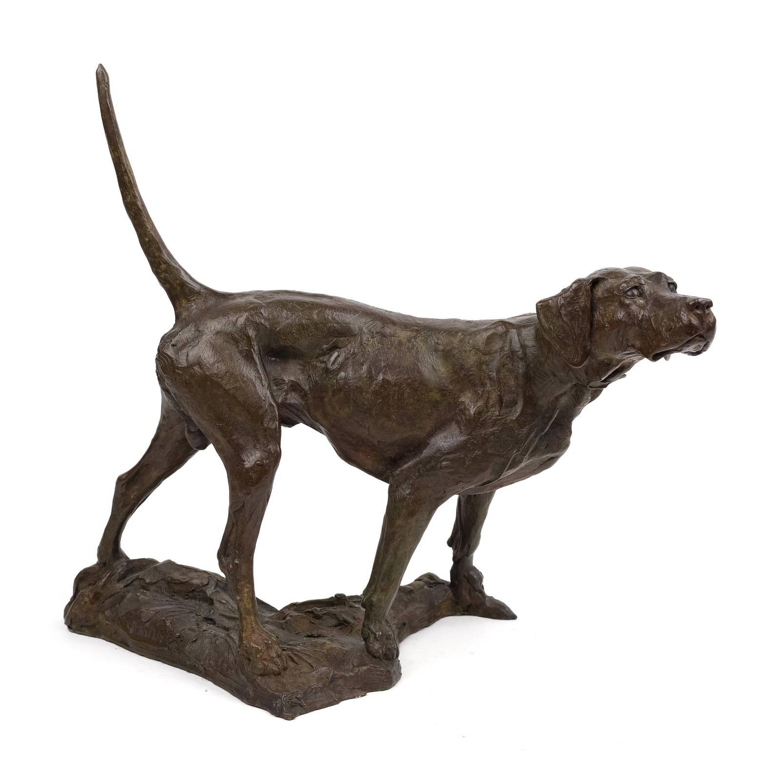 20th C. Walter Matia Bronze, Hunting Hound. Auction