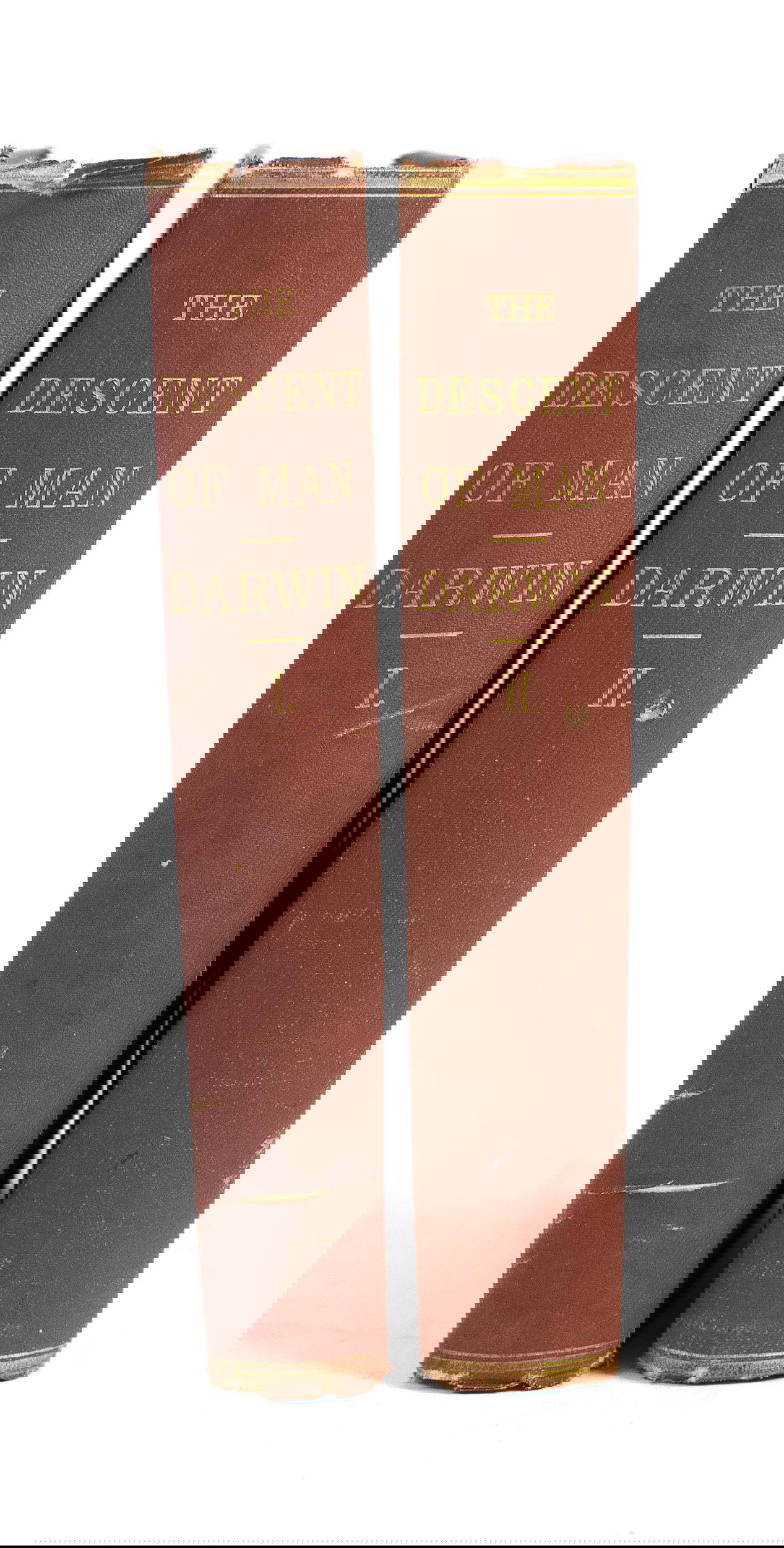 Charles Darwin Descent Of Man 1st American Ed 1871. Auction