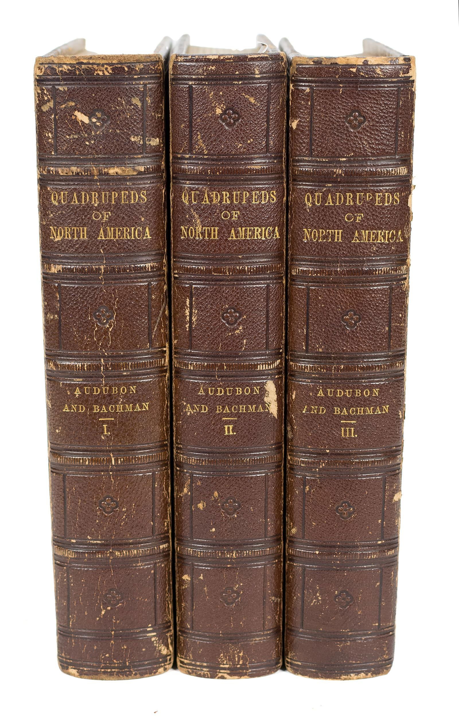 Audubon, Quadrupeds Of North America, Royal Octavo.