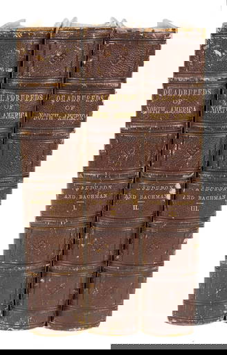 Audubon, Quadrupeds Of North America, Royal Octavo.