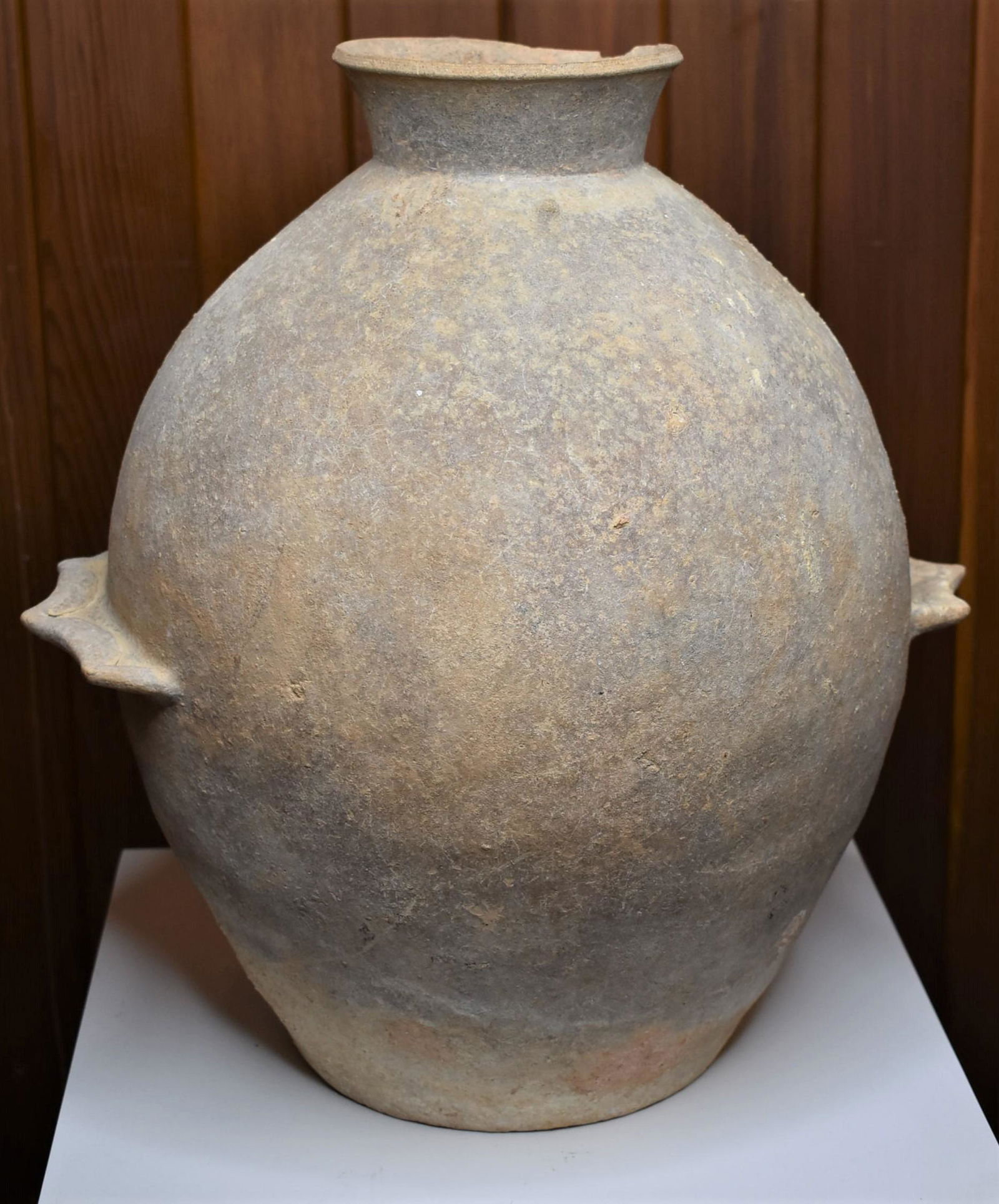 Middle Bronze II Age Storage Jar with Envelope - Dec 14, 2021 | Merkel ...