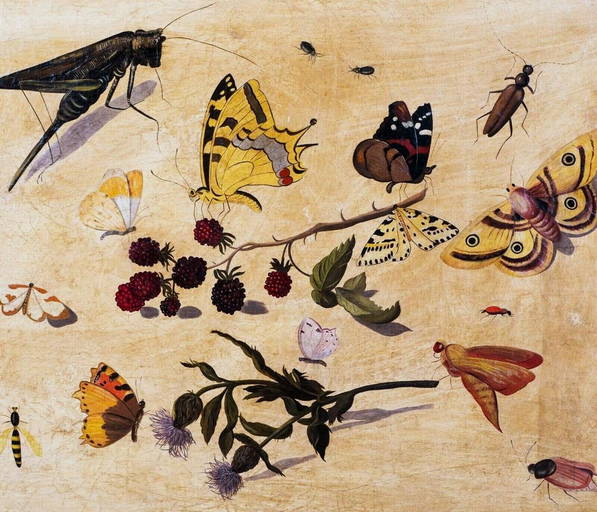 INSECT STUDY OIL PAINTING (#0085) on Apr 17, 2022 | NY Elizabeth in CA