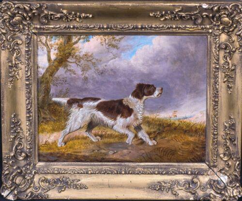PORTRAIT OF AN IRISH RED & WHITE SETTER OIL PAINTING (#0555) on Jan 08 ...