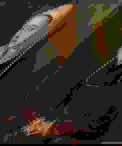 Portrait Of Francisca Van Luxemburg Oil Painting Auction