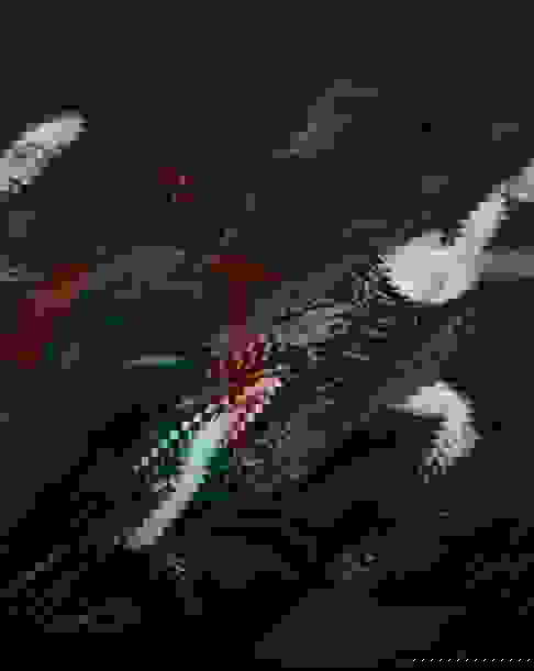 Portrait Of Barbara Villiers Oil Painting Auction