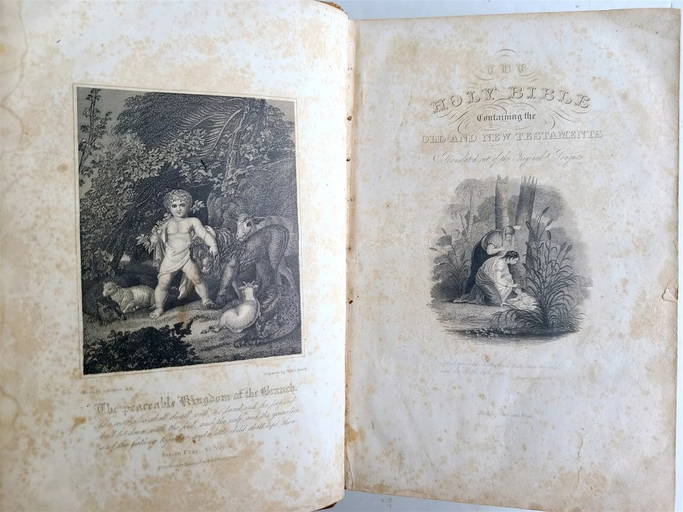 1838 English Ancient Bible Polyglot An Illustration Of American Brattleboro