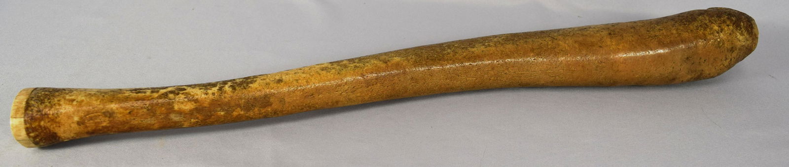 INUIT WALRUS OOSIK BACULUM CLUB: - Oct 20, 2019 | White's Auctions in MA