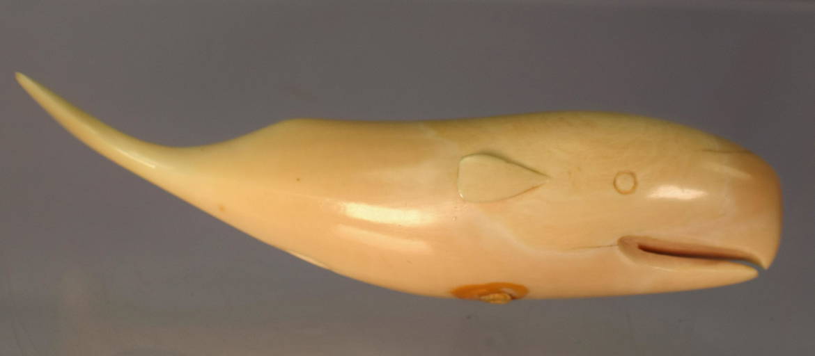 Whale Tooth Carved Figural Whale