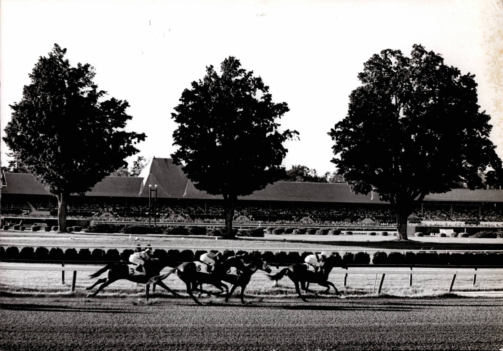 B&w Vtg 1960s Horse Racing At Saratoga Racing Track Oversized Photo Auction