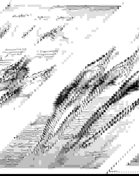 1992 Photo Leonardo Da Vinci The Muscles Of The A Auction