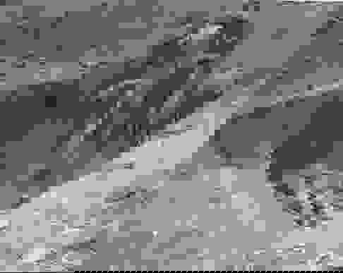 Wwii Us Army Photo German Pows Dig Up Bodies Of Jews Fr Auction