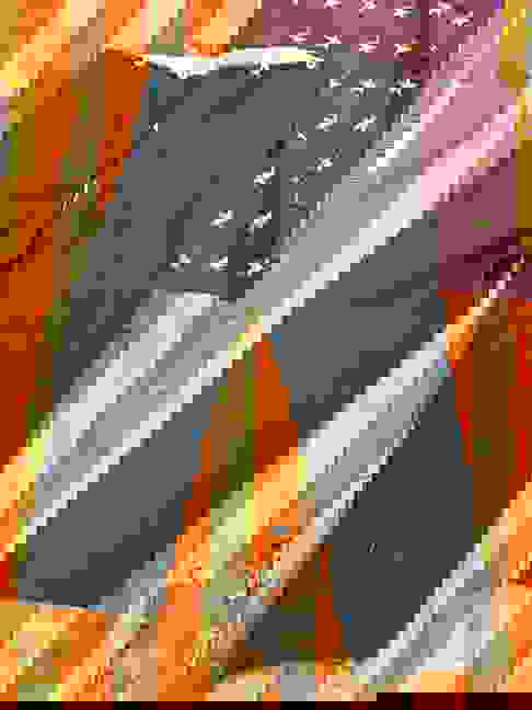 Rare Civil War Confederate Warrior Trousers Pants Auction