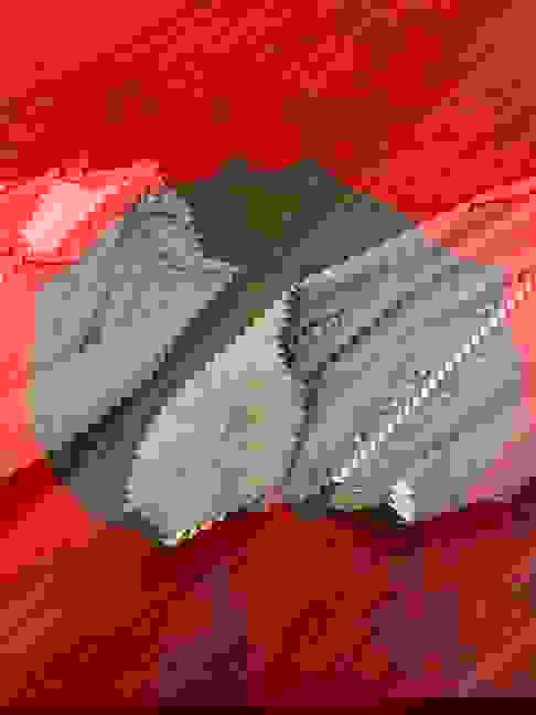 Rare Civil War Confederate Csa North Carolina Southern Rebel Shell ...