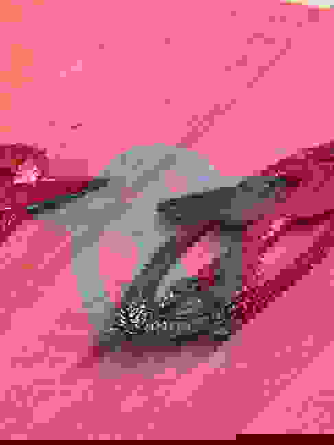 Ww2 German England Awake Anti-war Eagle Hat Lapel Pin - Jul 16, 2024 ...