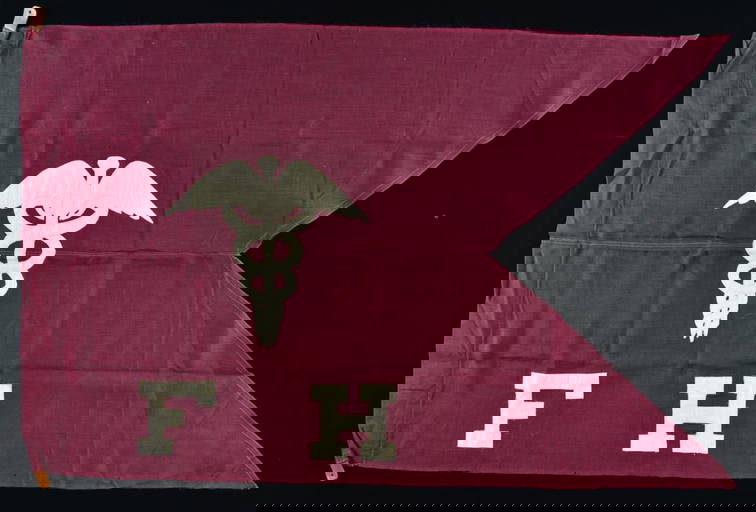 Ww1 Us Army Field Hospital Guidon.