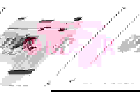 Ruger Rose Gold Lcp Max Semi-auto Pistol. Auction