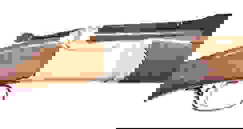 Ruger Trap Model Single Barrel Shotgun. Auction