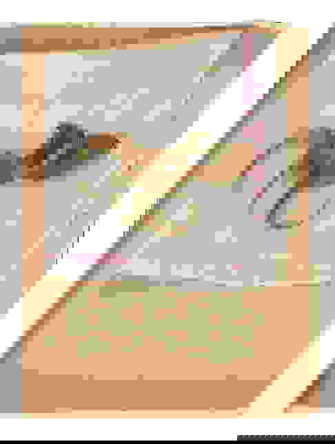 Large Sample Of General George Custer's Hair Auction