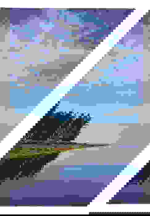 Two Works By Christin De Hoff. Auction