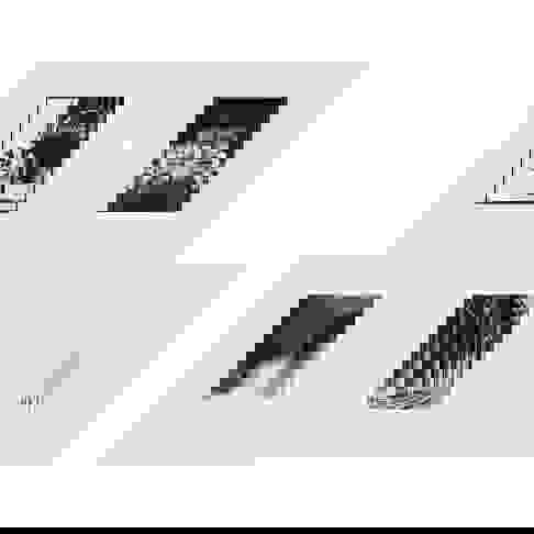 Michael Magill, Five Works Auction