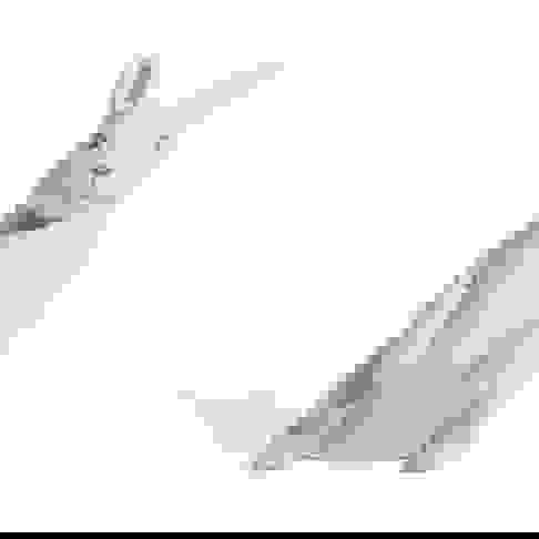 Weller Pottery, Rare And Large Blue Rabbit Auction