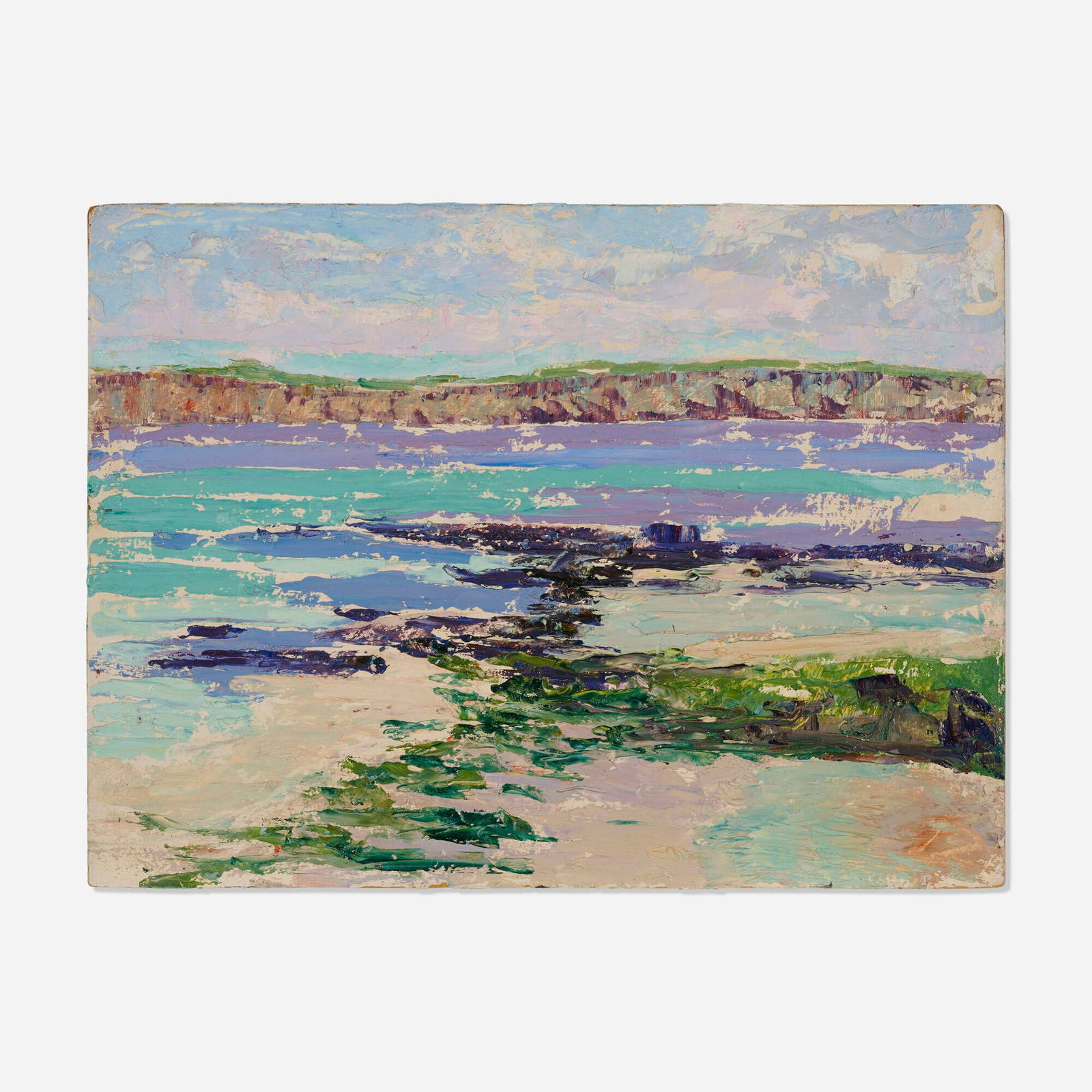 Harry Hoffman, On Darwin Island Auction