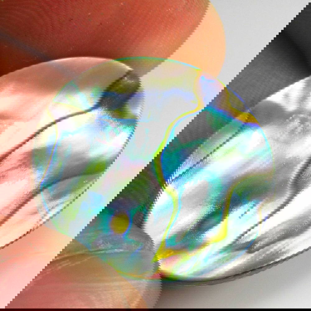 8.79 Ct Natural Multi Color Shining Abalone Shell Auction