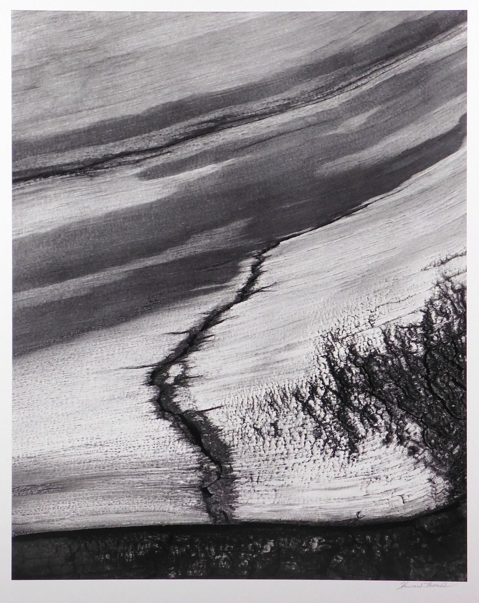 Howard Bond: Bristlecone Pine #15