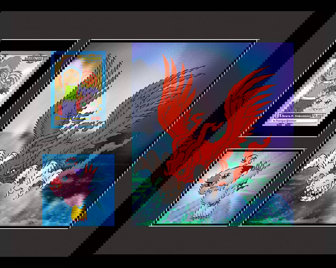 Digimon Lithograph Sora Birdadude With Set Of New Trading Cards Auction