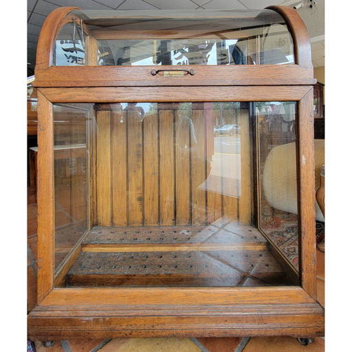 19th C Antique Curved Glass Walking Cane & Sword Display Case