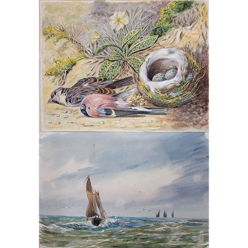 Lot Of 2 Watercolor Paintings " A Seascape And A Still Life, Dead Birds ...