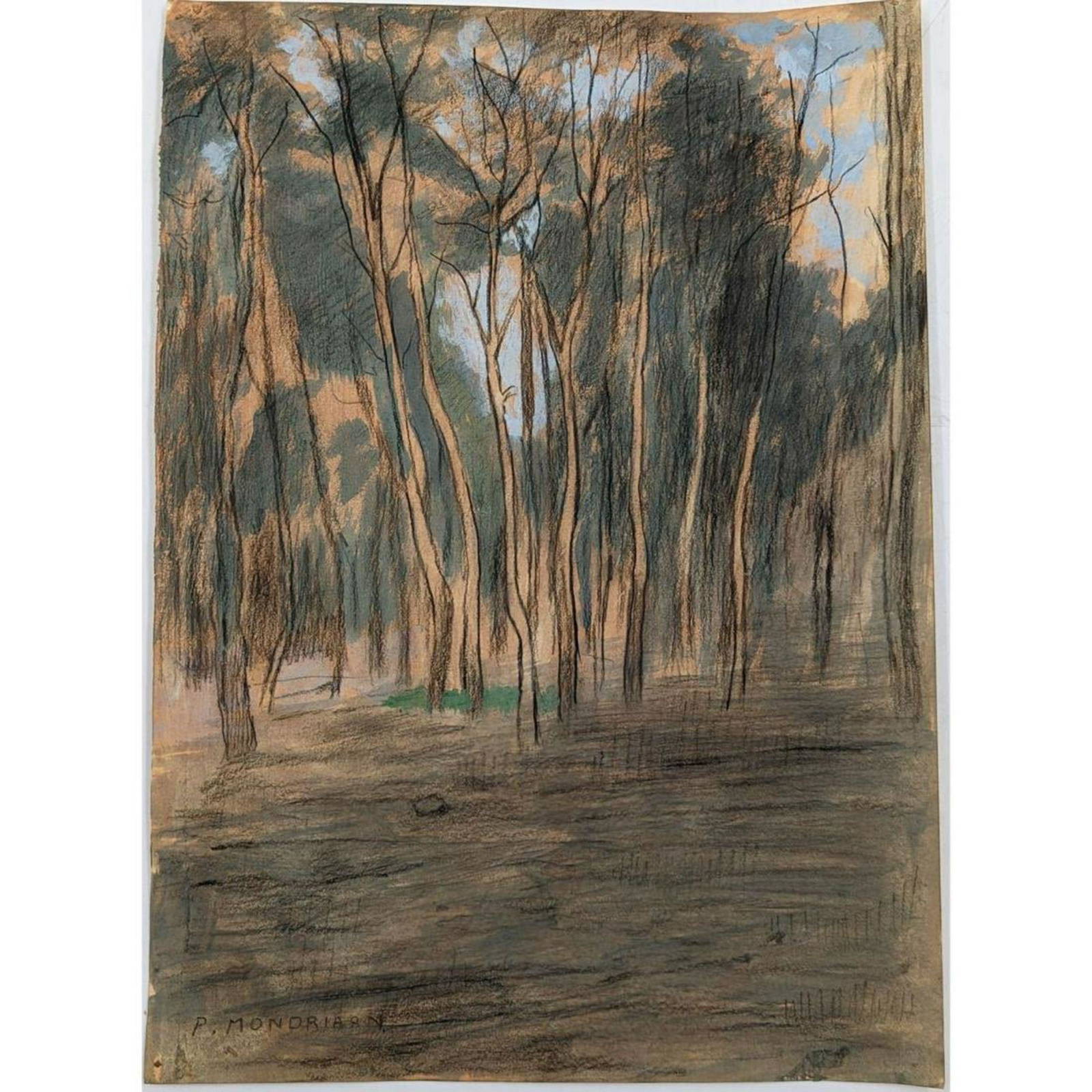 Signed Pencil And Watercolor On Paper Titled "small Birch Forest ...