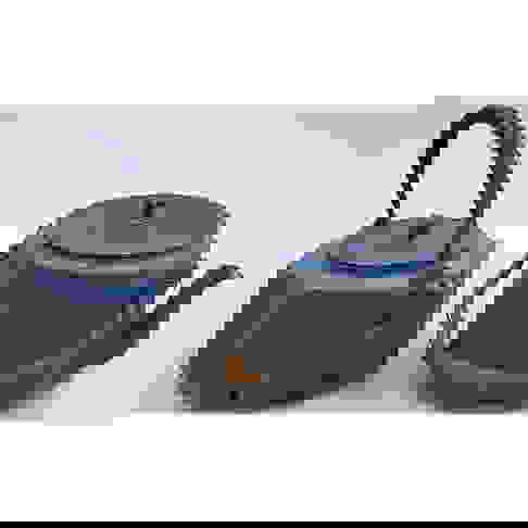 Pair Of Antique Japanese Tetsubin, Cast Iron Kettles Auction