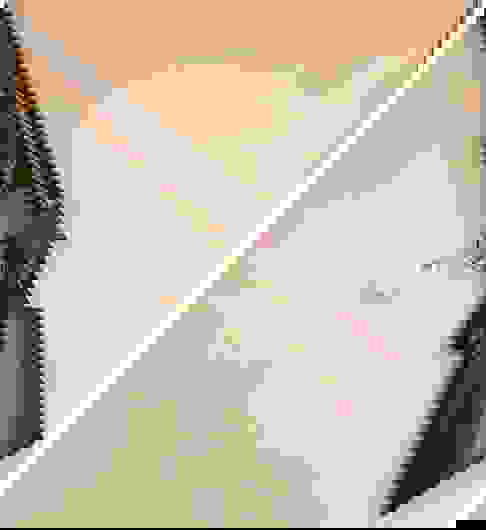 Antique Remington Shotgun Model 1900 Auction