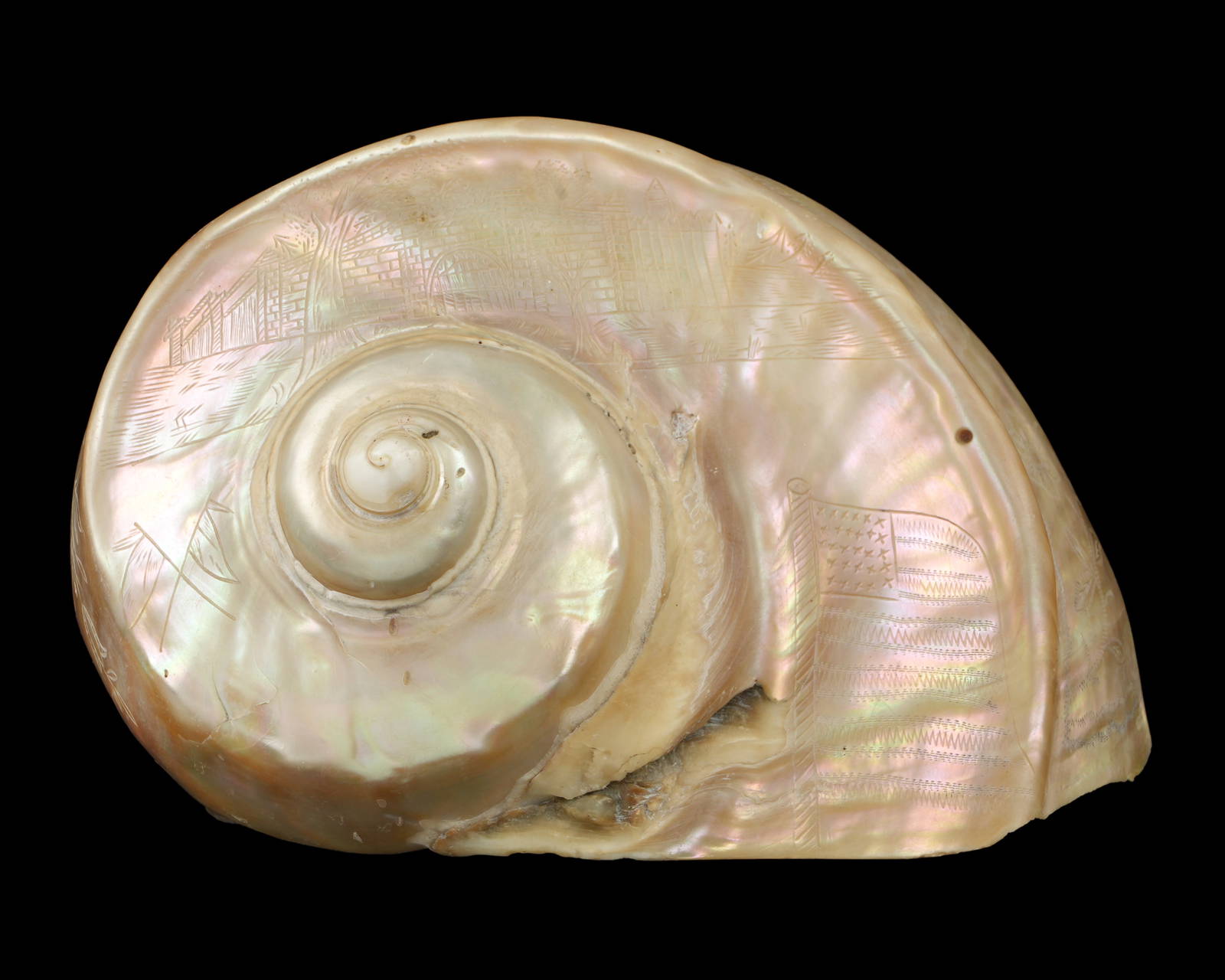 Engraved Mount Vernon Souvenir Conch Shell Auction