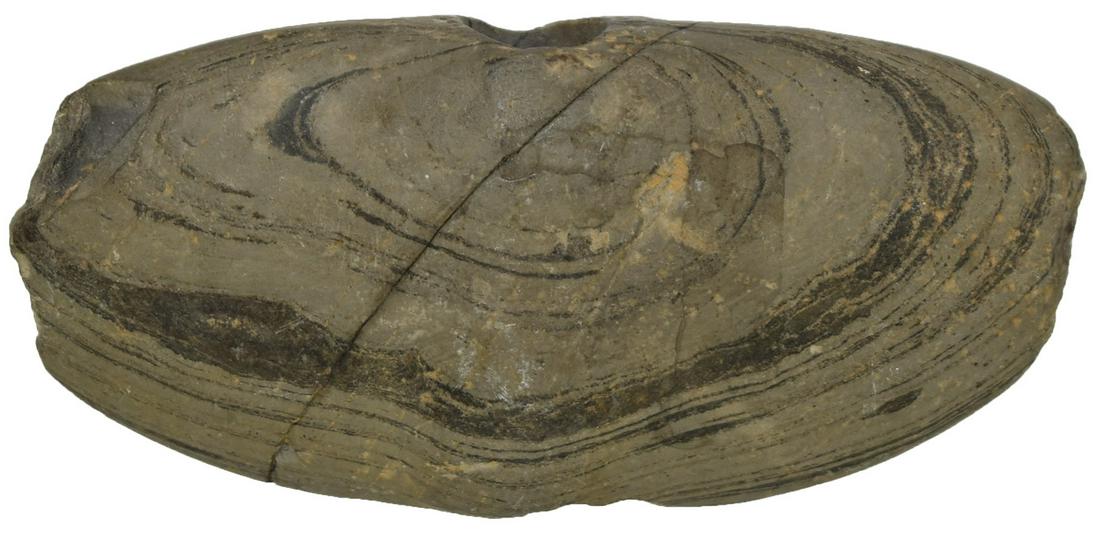 3 5/8" Slate Winged Bannerstone. Pictured in Townsend - Dec 07, 2019 ...