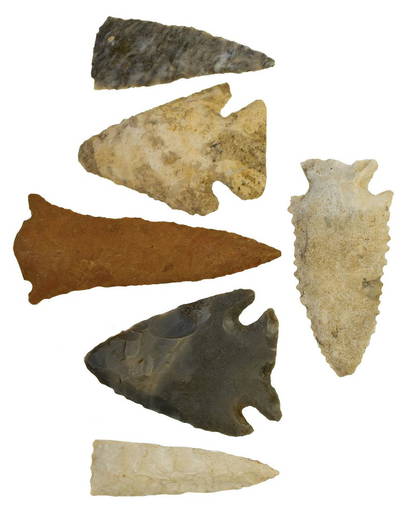 Group Of 6 Ky/tn Points. Largest Is Kirk Snapped Base