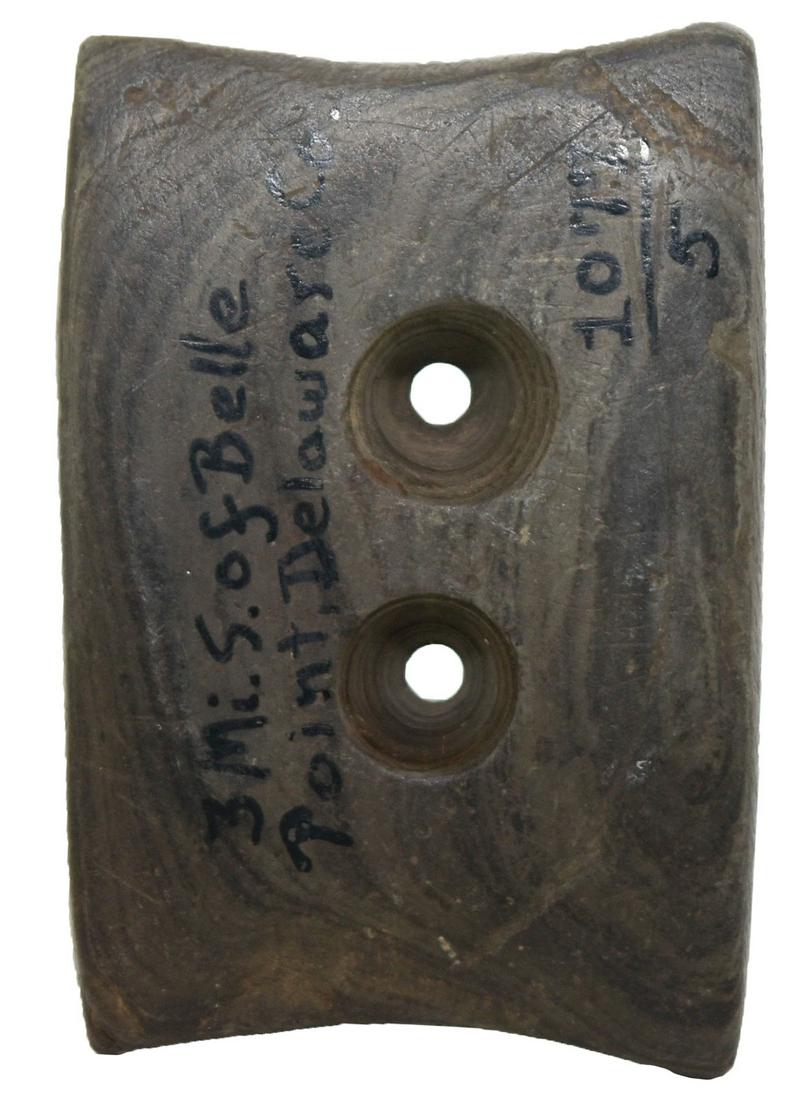 2 1/2" Bi-Concave Gorget. Ex-Dr. Gordon Meuser - Apr 04, 2020 | Tony ...