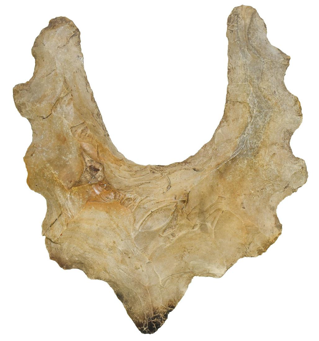 For Auction: 9 1/2" Flint Yoke. Mayan. Central America. Made of (#0317 ...