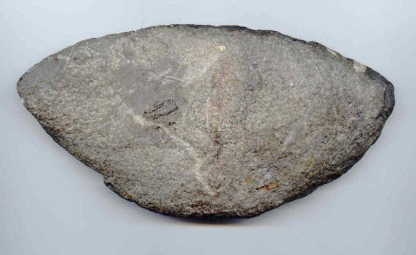 Wing Bannerstone Preform