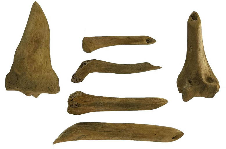 Group Of 6 Animal Bone Awls. 3 1/2" 5". Ohio. Good